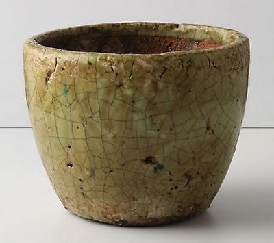 Finding Inspiration through Nature | The Design Inspirationalist