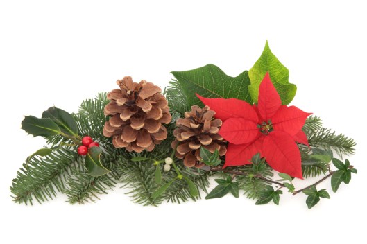 Christmas Flower Decorations | The Design Inspirationalist