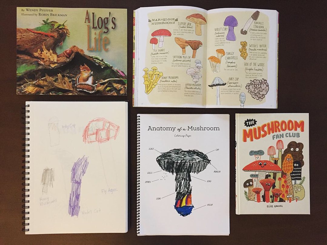 Fungus Study: Part 2 | The Design Inspirationalist