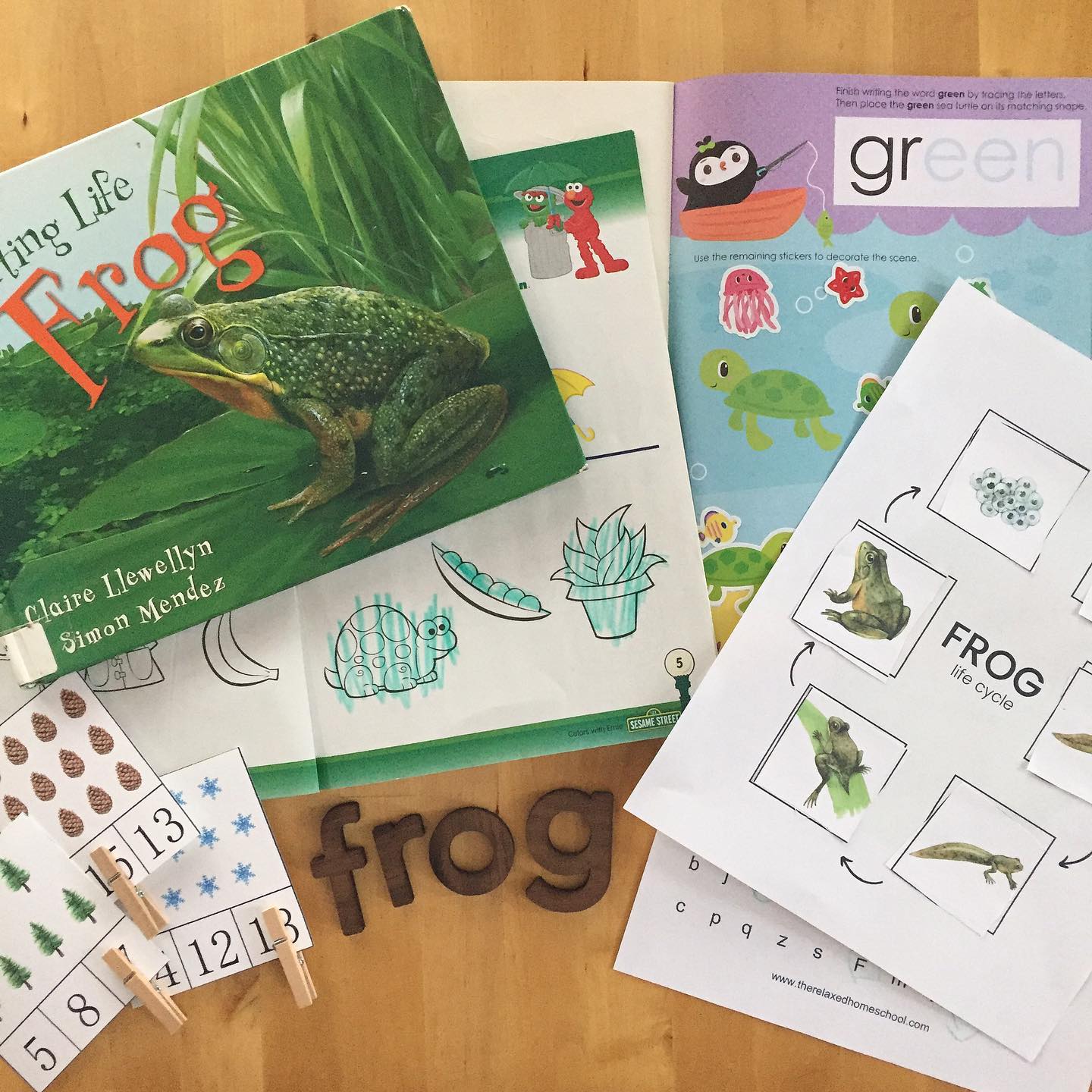 Winter Pond Study: Part 4-Frogs | The Design Inspirationalist