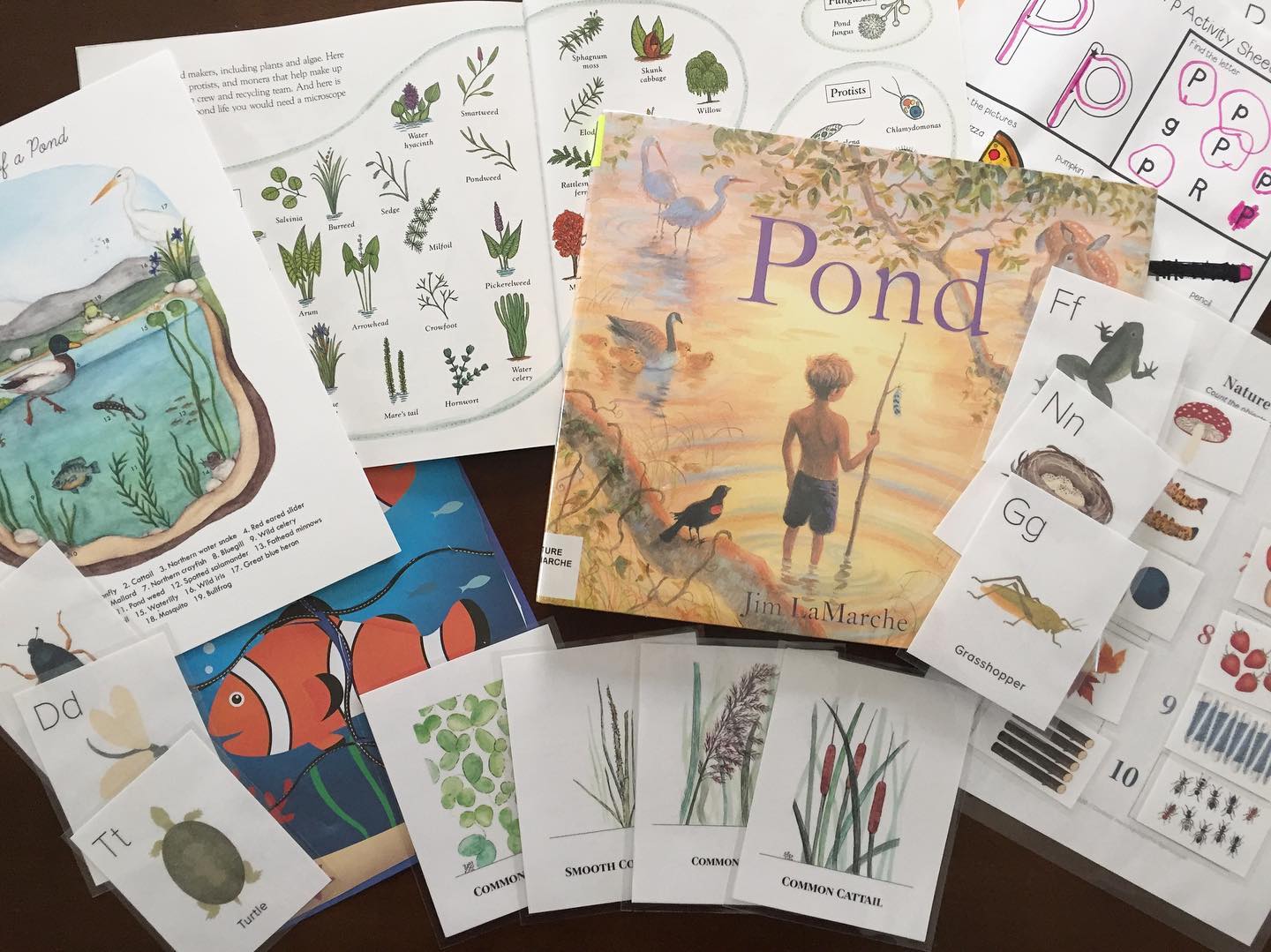 Spring Pond Study: Part 1 | The Design Inspirationalist