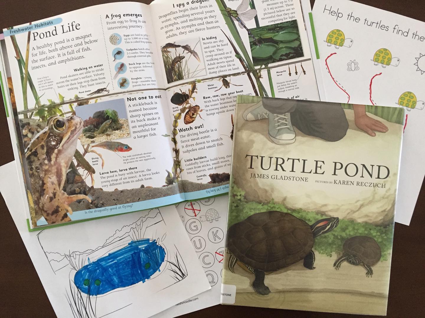 Spring Pond Study: Part 2 | The Design Inspirationalist