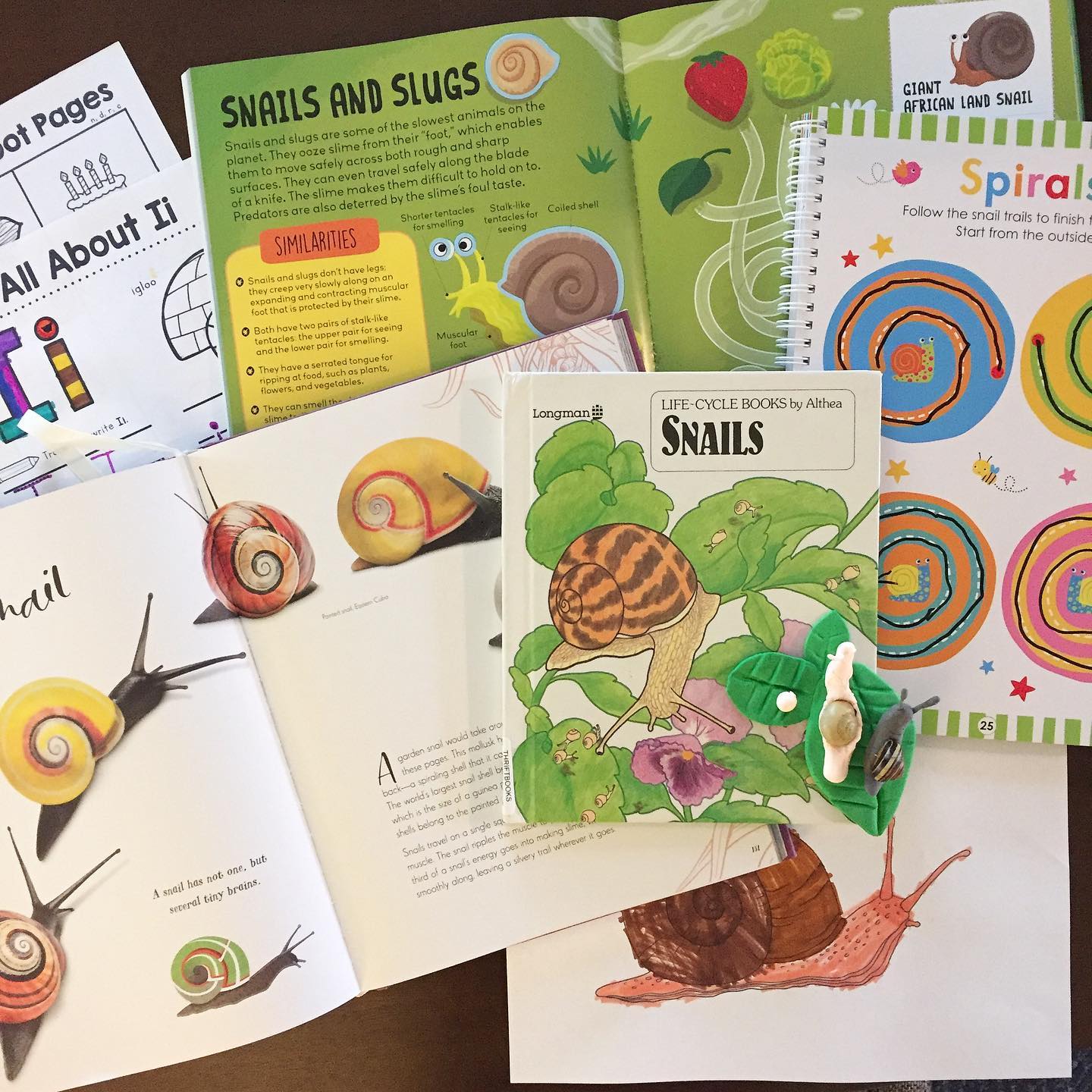 Garden Snail Study: Part 2 | The Design Inspirationalist
