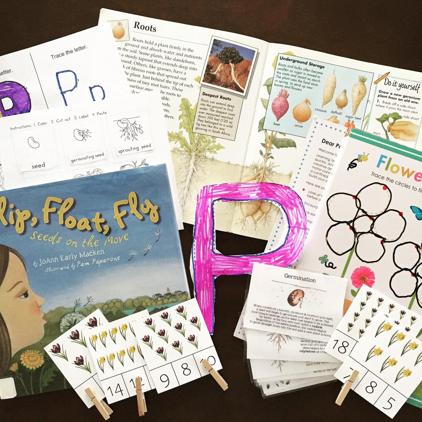 Plant Cycle Study: Part 1 | The Design Inspirationalist