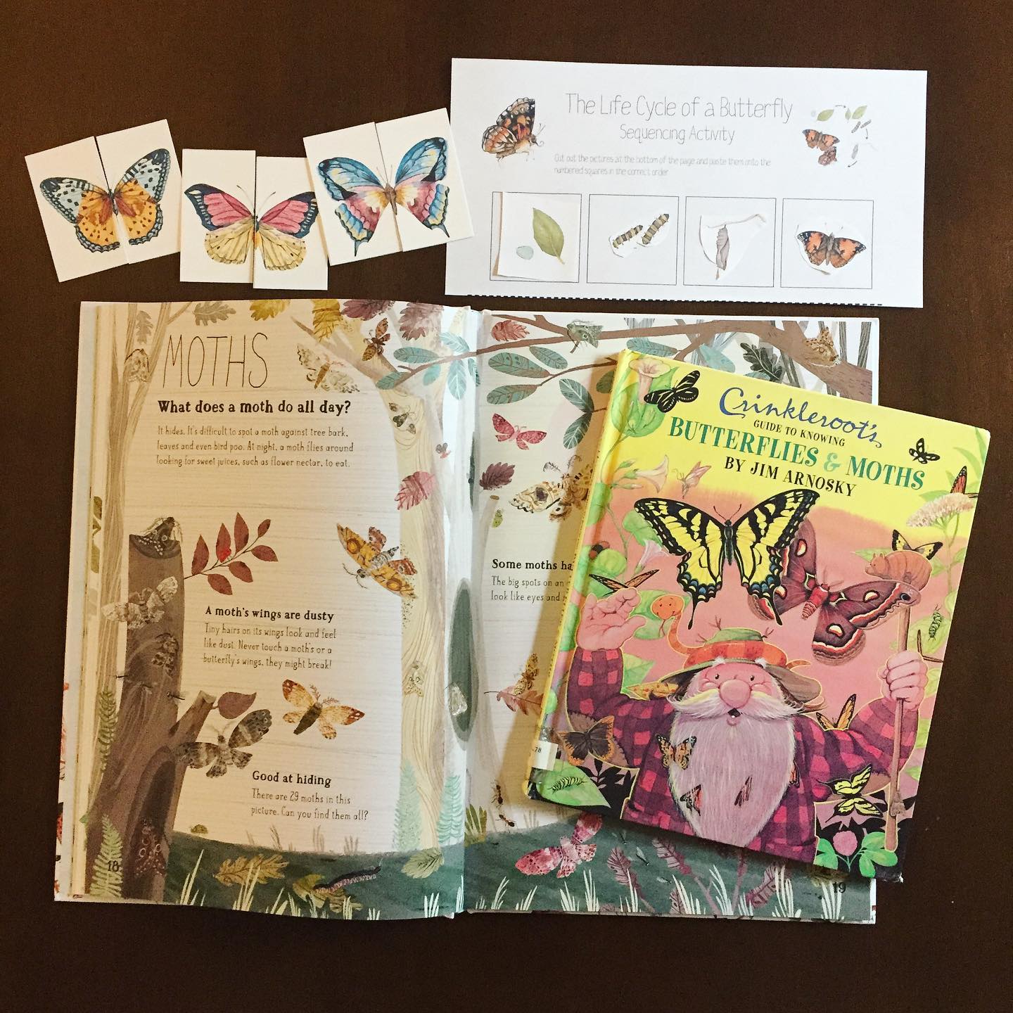 Butterflies: Part 2 | The Design Inspirationalist