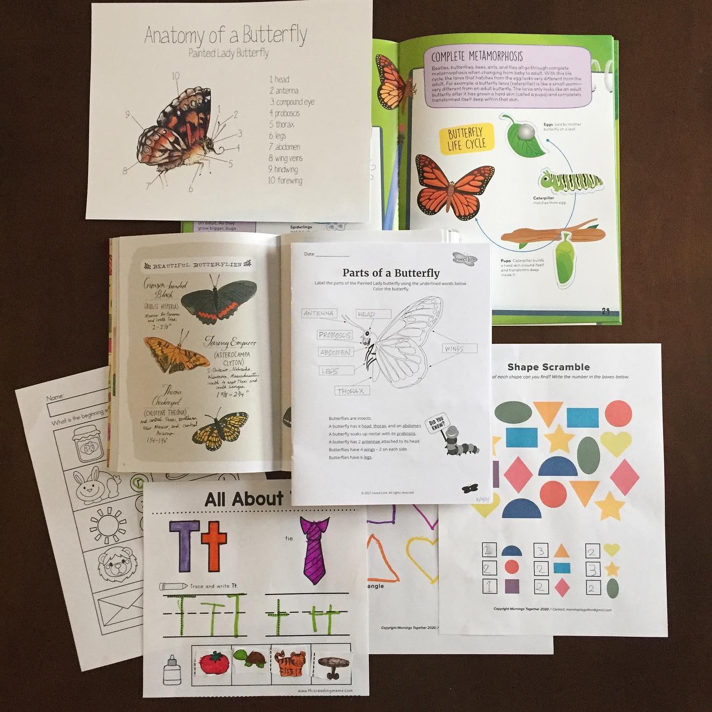 Butterflies: Part 4 | The Design Inspirationalist